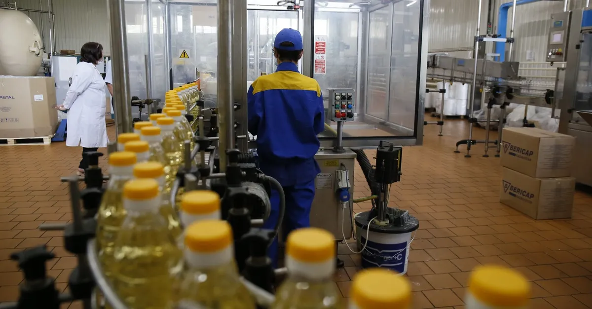 Fayz Oil Imports закупит масложировую продукцию у казахстанских переработчиков - новости Kapital.kz